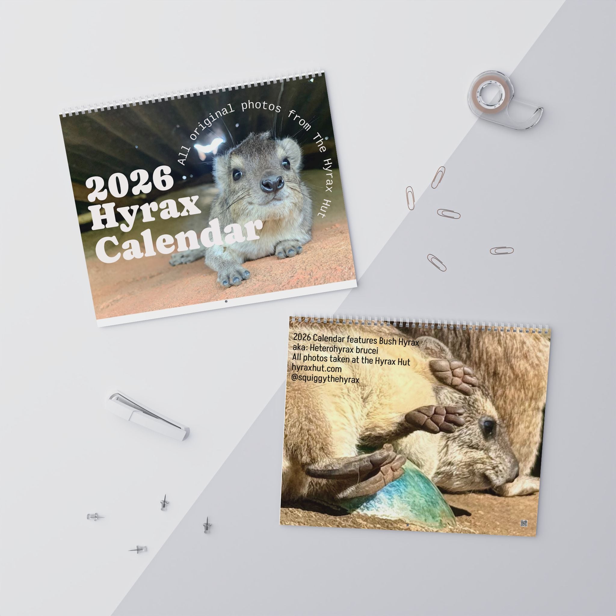 Premium Hyrax Wall Calendar 2026 – Cute Bush Hyrax Monthly Awawall Cal ...
