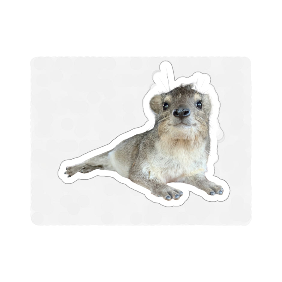 Products – Squiggy's Hyrax Hut